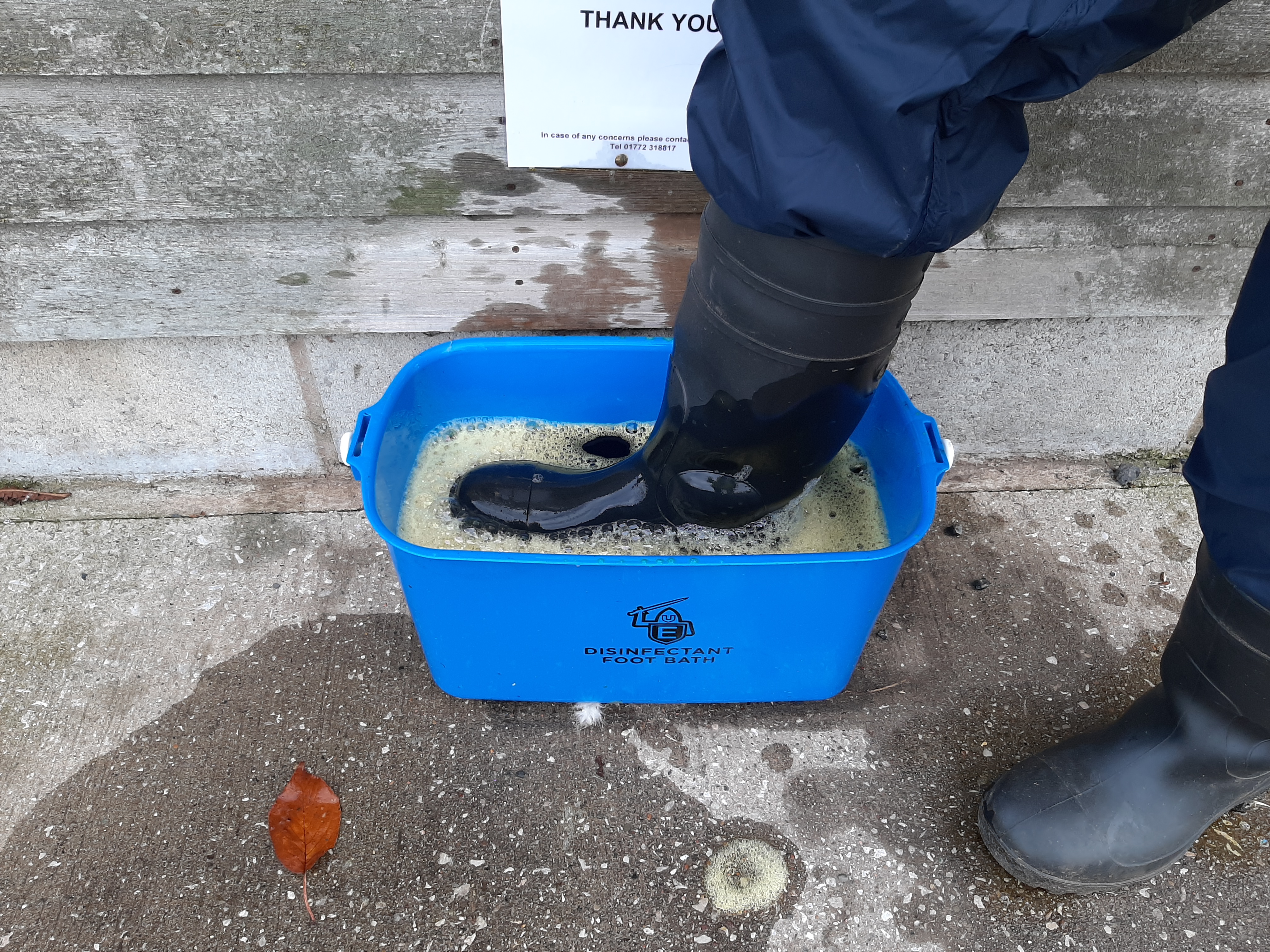 Take a bath – not a walk