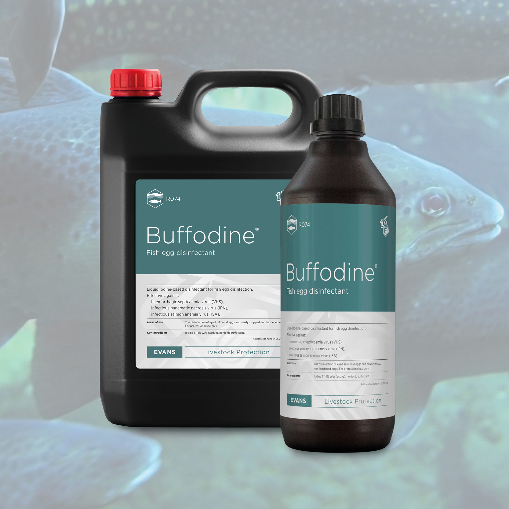 Fish Egg Disinfection